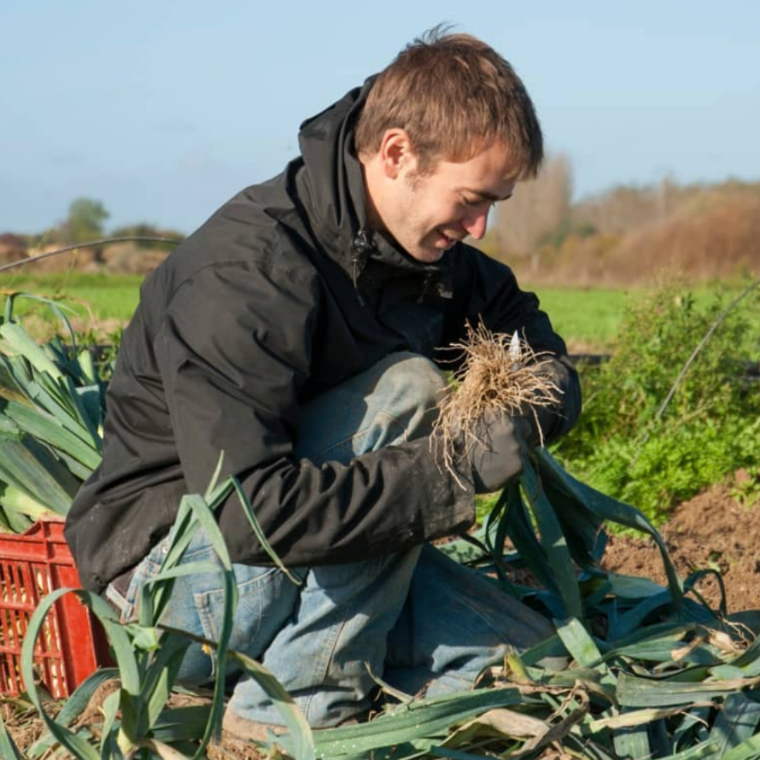 Ruralization presentaties beloftevolle praktijken op 17 juni | De ...